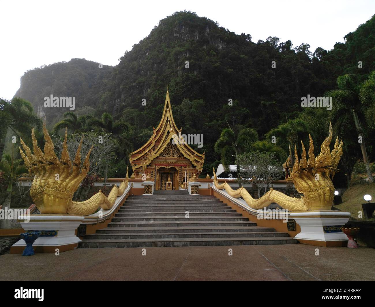 Beautiful golden buddhist jungle temple Stock Photo - Alamy