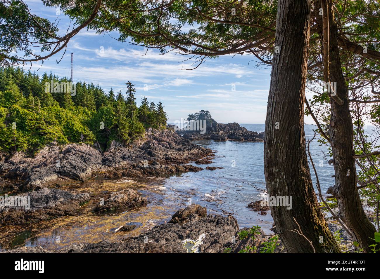 Canada west coast landscape hi-res stock photography and images - Alamy