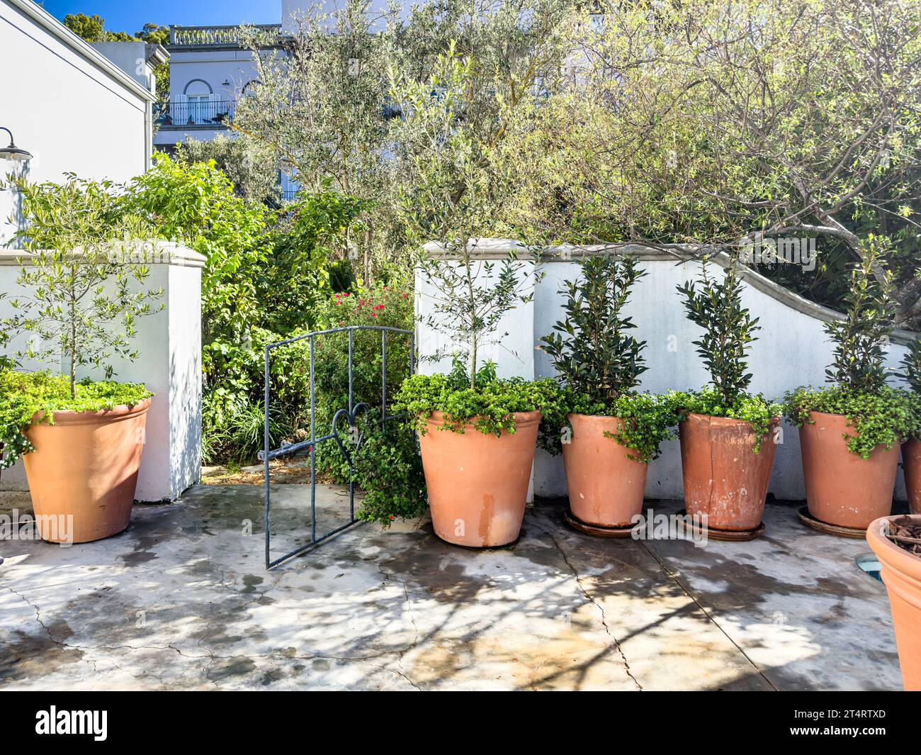 The Luxurious Dorp Hotel in Cape Town situated on Longmarket Street in ...