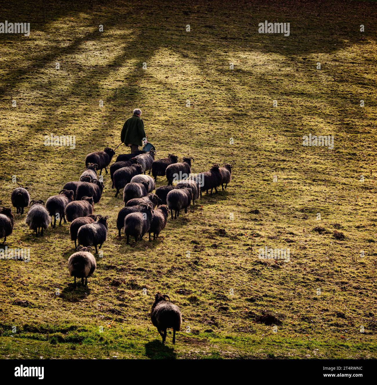 Bloomers valley hi-res stock photography and images - Alamy