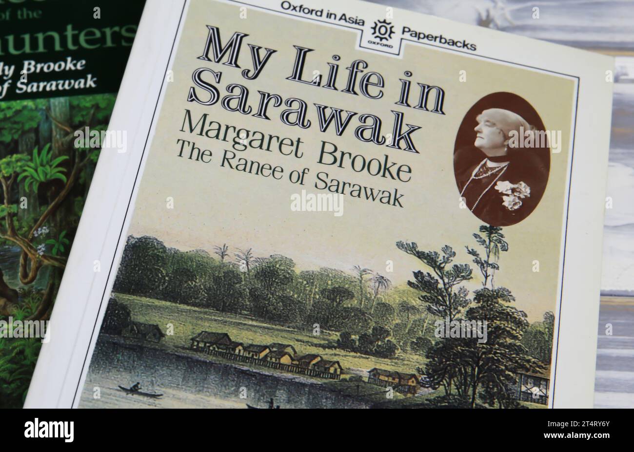 Viersen, Germany - October 9. 2023: Closeup of Lady Margaret Brooke ...