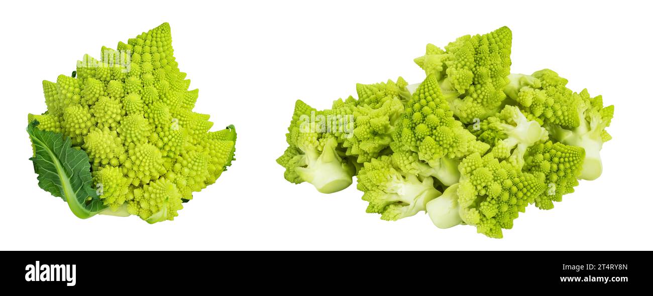 Romanesco broccoli cabbage or Roman Cauliflower isolated on white ...