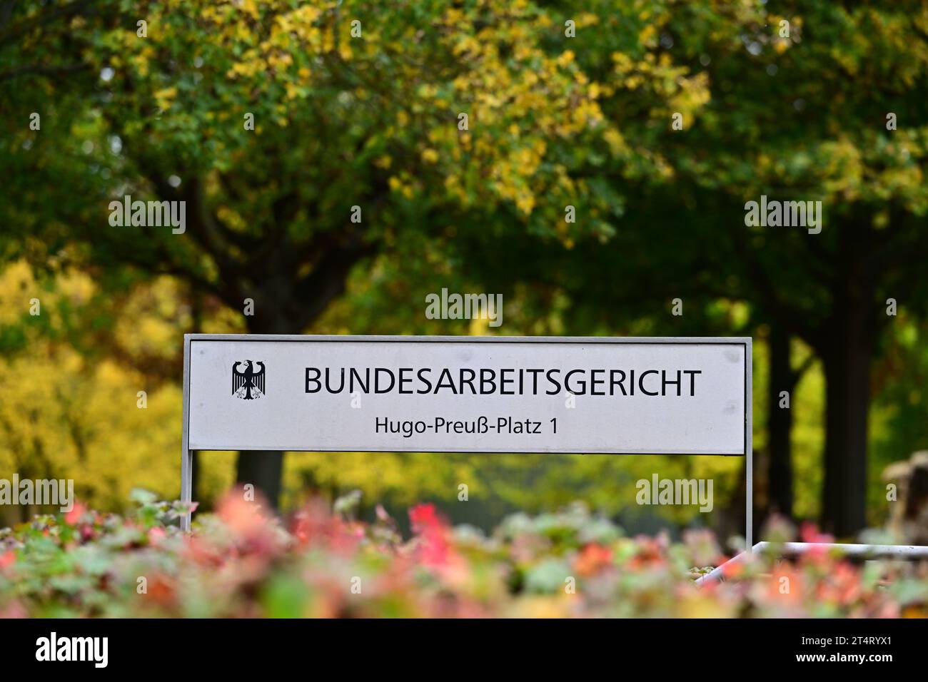 Last instance hi-res stock photography and images - Alamy
