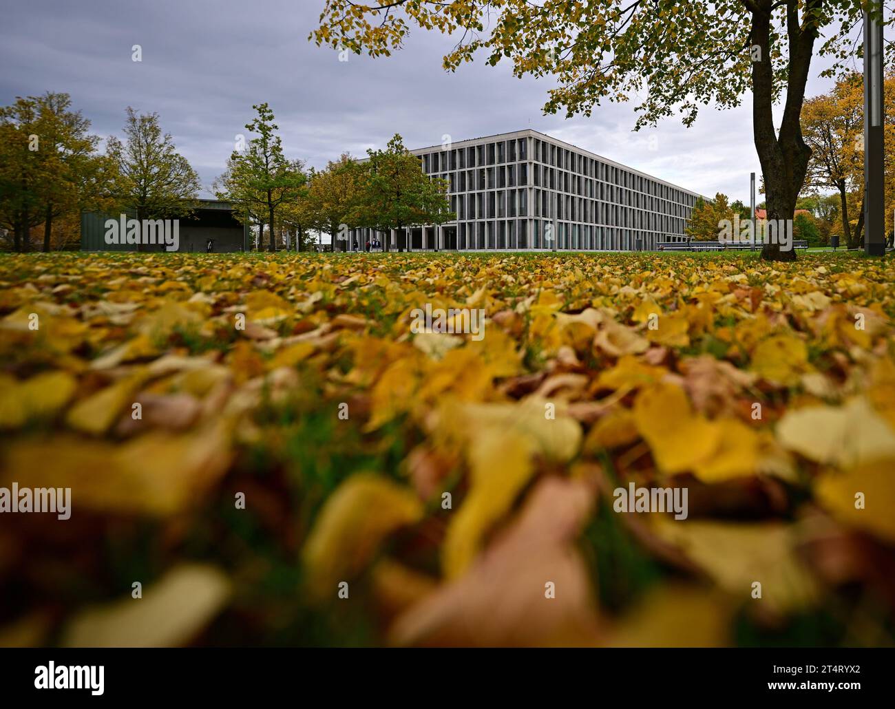 Final instance hi-res stock photography and images - Alamy