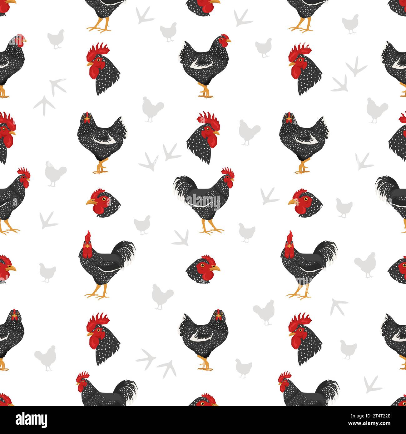 California Grey Chicken breeds seamless pattern. Poultry and farm ...