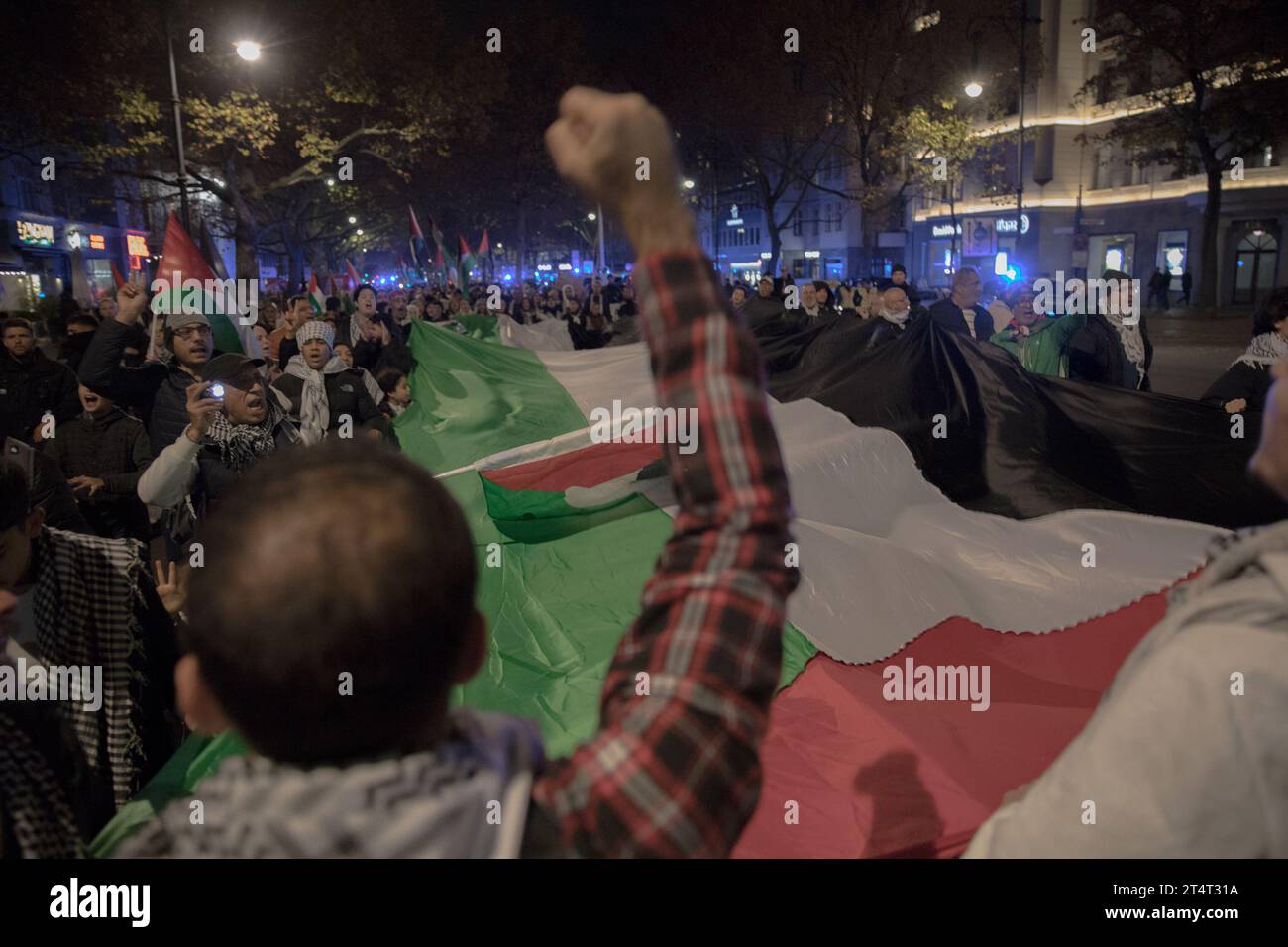 On November 1, 2023, Hundreds of pro-Palestinian demonstrators took to ...