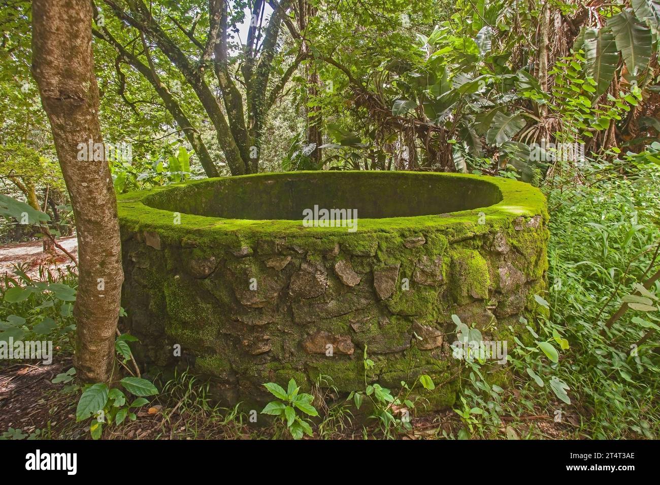 Dug well hi-res stock photography and images - Alamy