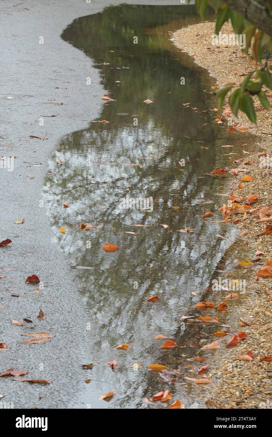 Excessive autumn rainwater creating flooding and reflections on road ...