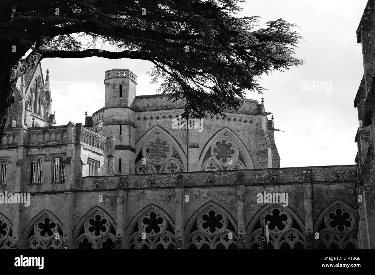 Yew tree house hi-res stock photography and images - Alamy