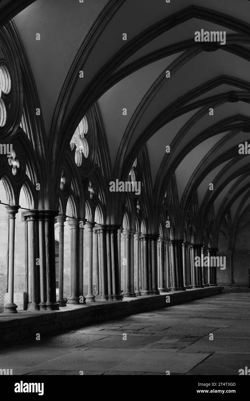 Salisbury cathedral chapter house hi-res stock photography and images ...