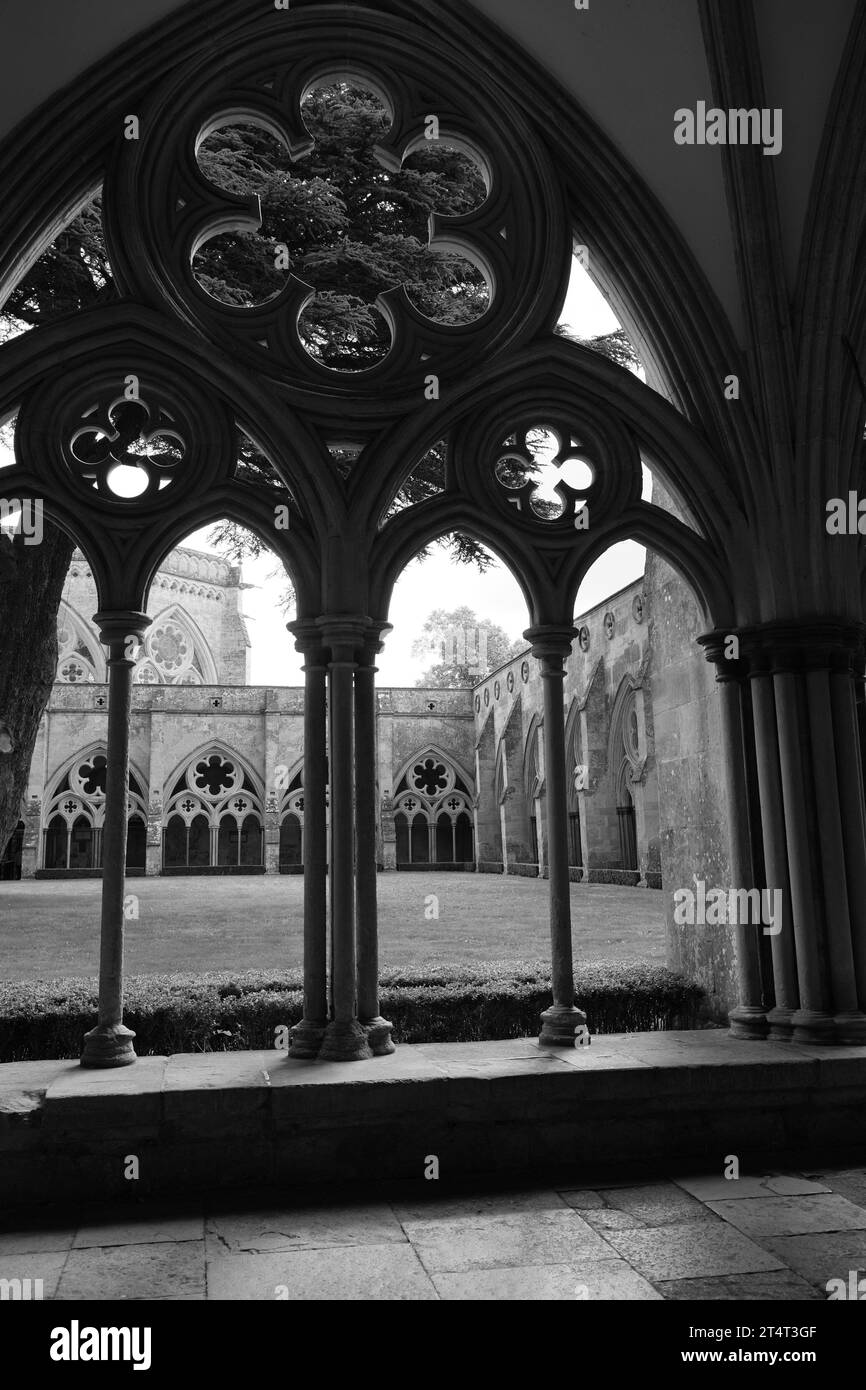 Salisbury cathedral chapter house hi-res stock photography and images ...