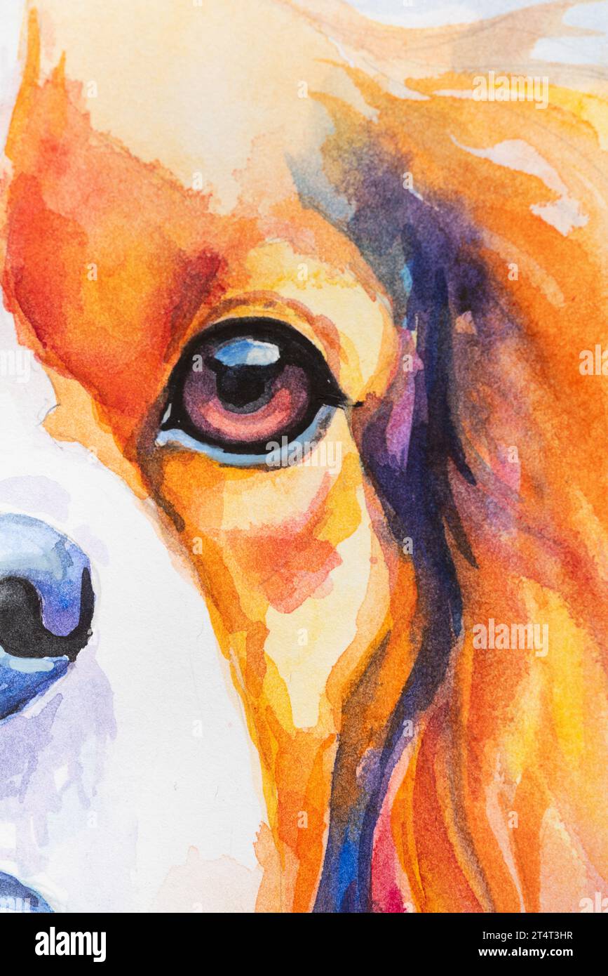 dog painted in watercolor on a white background Stock Photo - Alamy