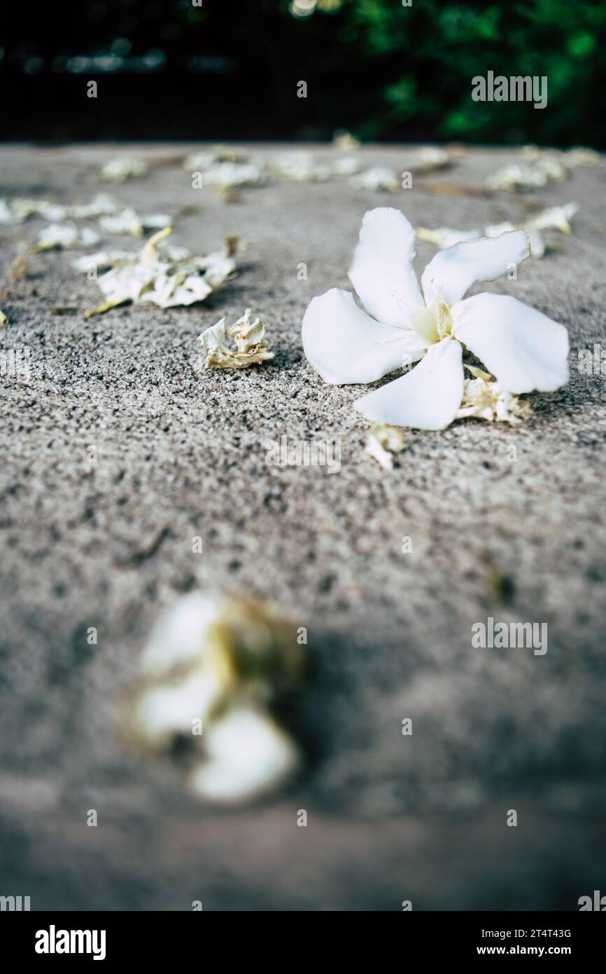 Scenic view part white hi-res stock photography and images - Alamy