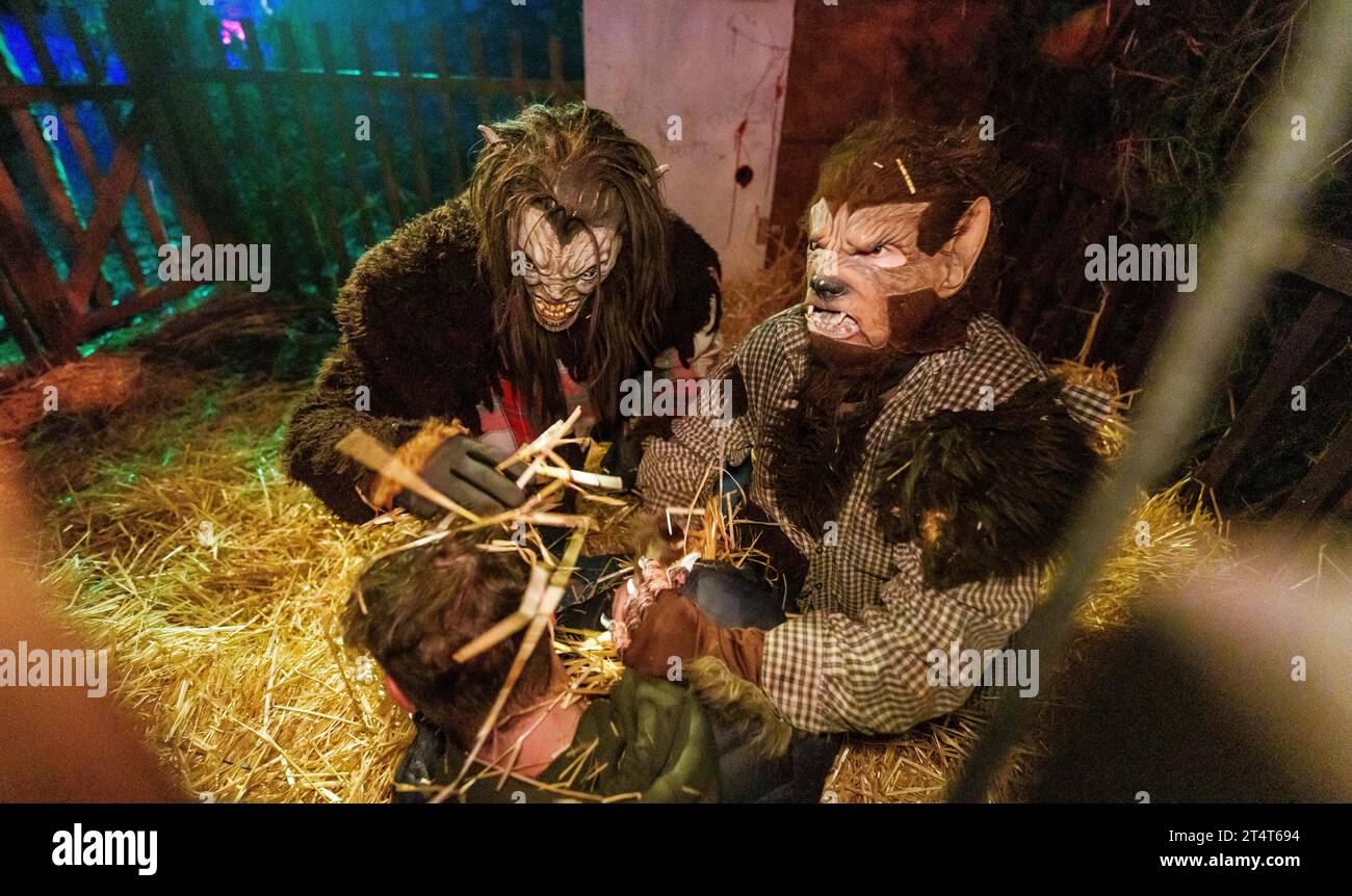 31 October 2023, Hesse, Mühltal: Werewolves drag a Bescher into a ...