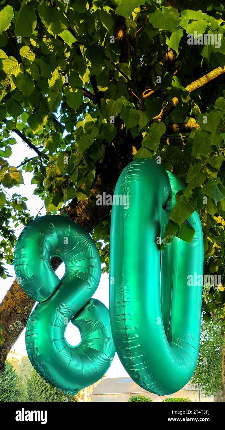 green balloons with the number 80 hanging from a tree for a birthday ...
