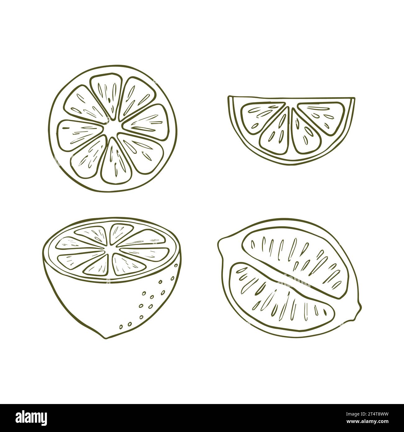 Vector hand-drawn set of lemons. Whole lemon, cut into pieces, half ...