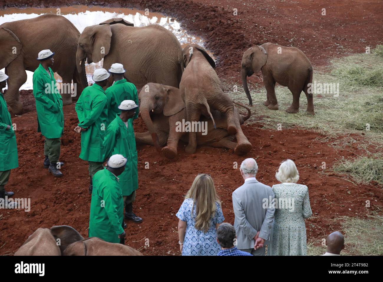 Nairobi, Kenya. 01st Nov, 2023. Britain's King Charles III and Queen ...