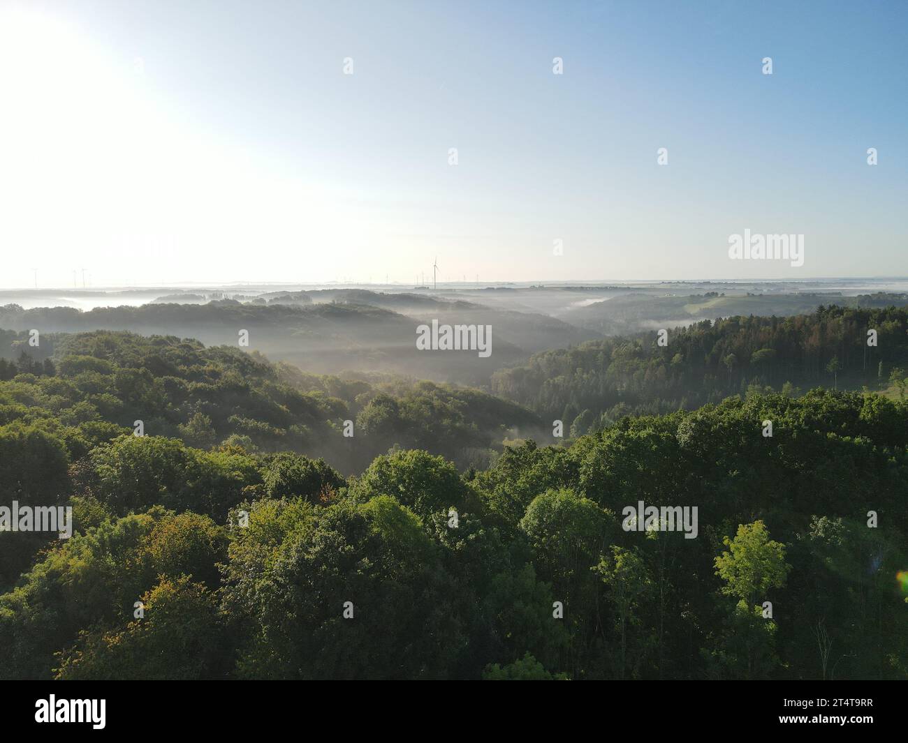 Sunny fog hi-res stock photography and images - Alamy
