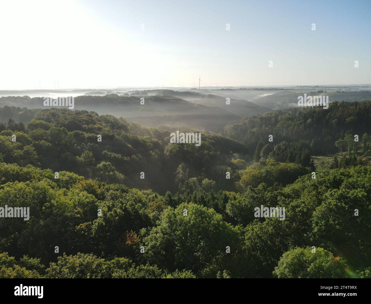 Fog on a forest mountain top hi-res stock photography and images - Alamy