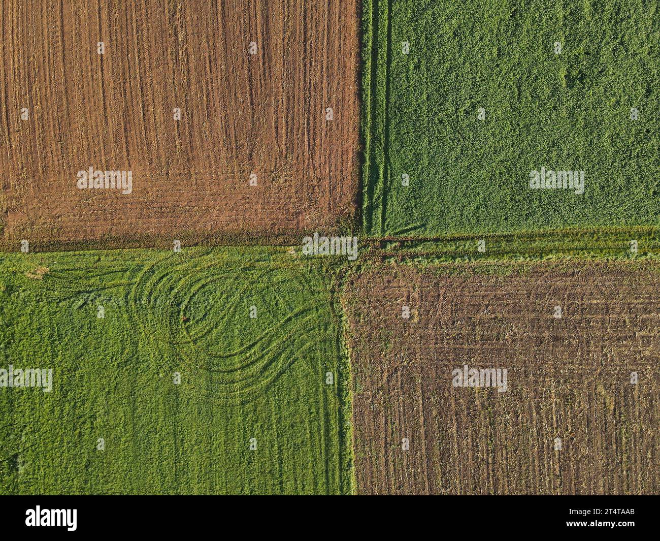 And green grass fields hi-res stock photography and images - Alamy