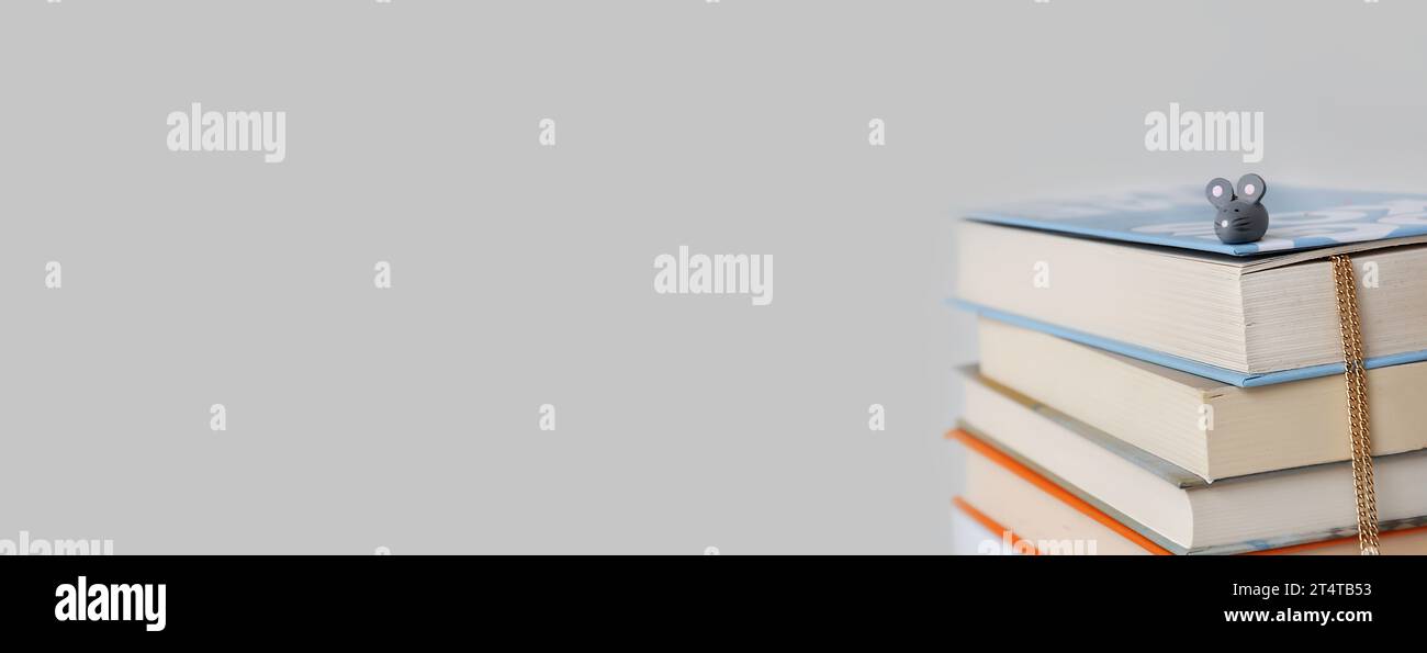 A pile of books on a light gray background. Minimal one corner ...