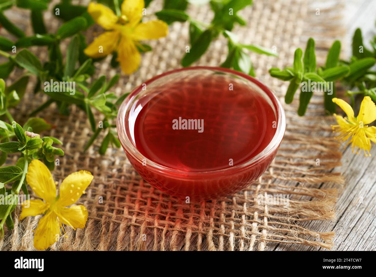 Glass bowl containing red oil made of fresh St. John's wort or ...