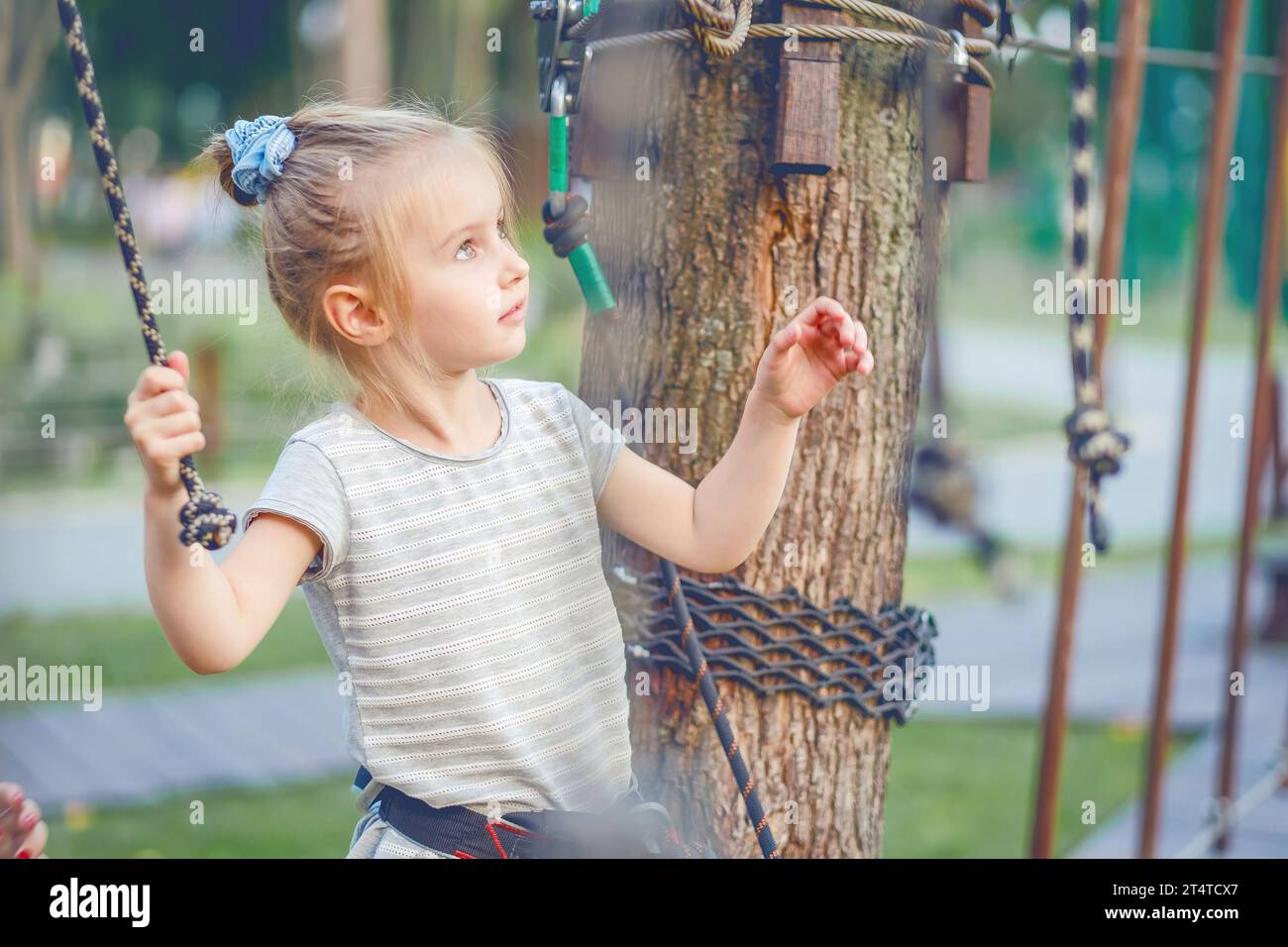 Cute girl enjoying activity in a climbing adventure park. Girl goes on ...