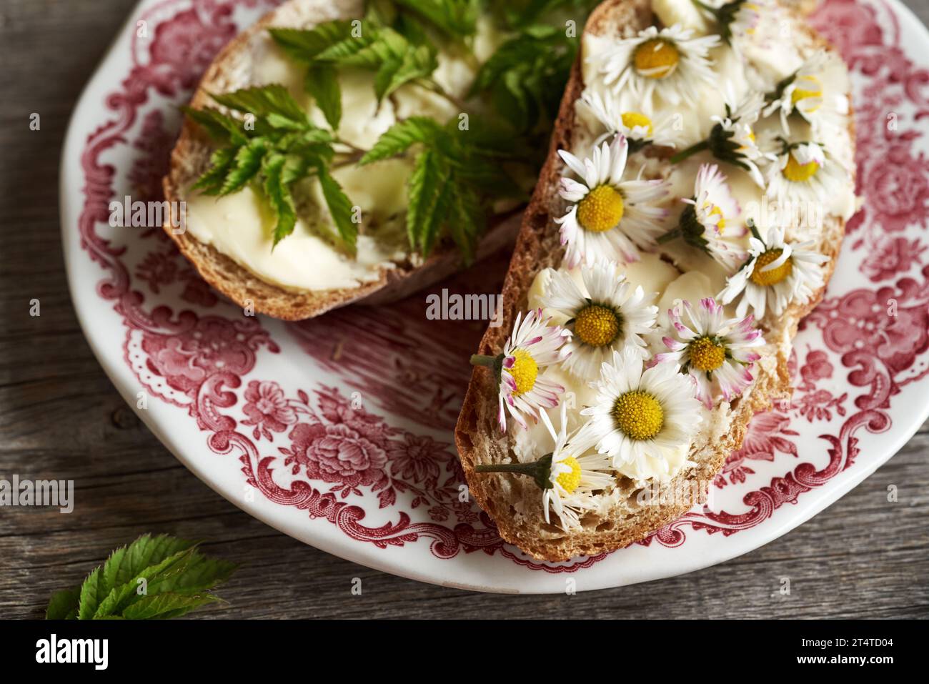 Fresh common daisy and goutweed on slices of bread Stock Photo - Alamy