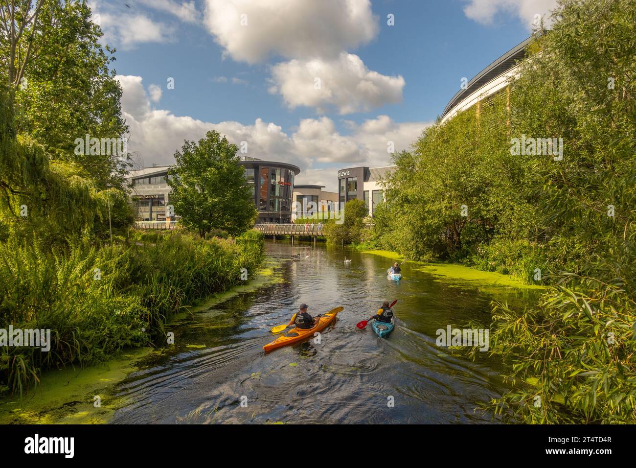 Kayaks on the river Chelmer running through the commercial centre of ...