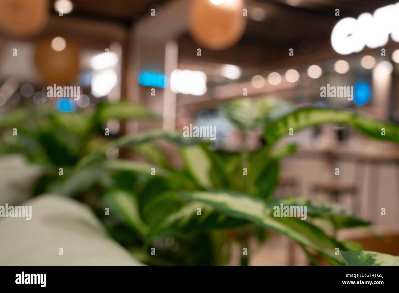 Blur coffee shop or cafe restaurant with abstract bokeh light image ...
