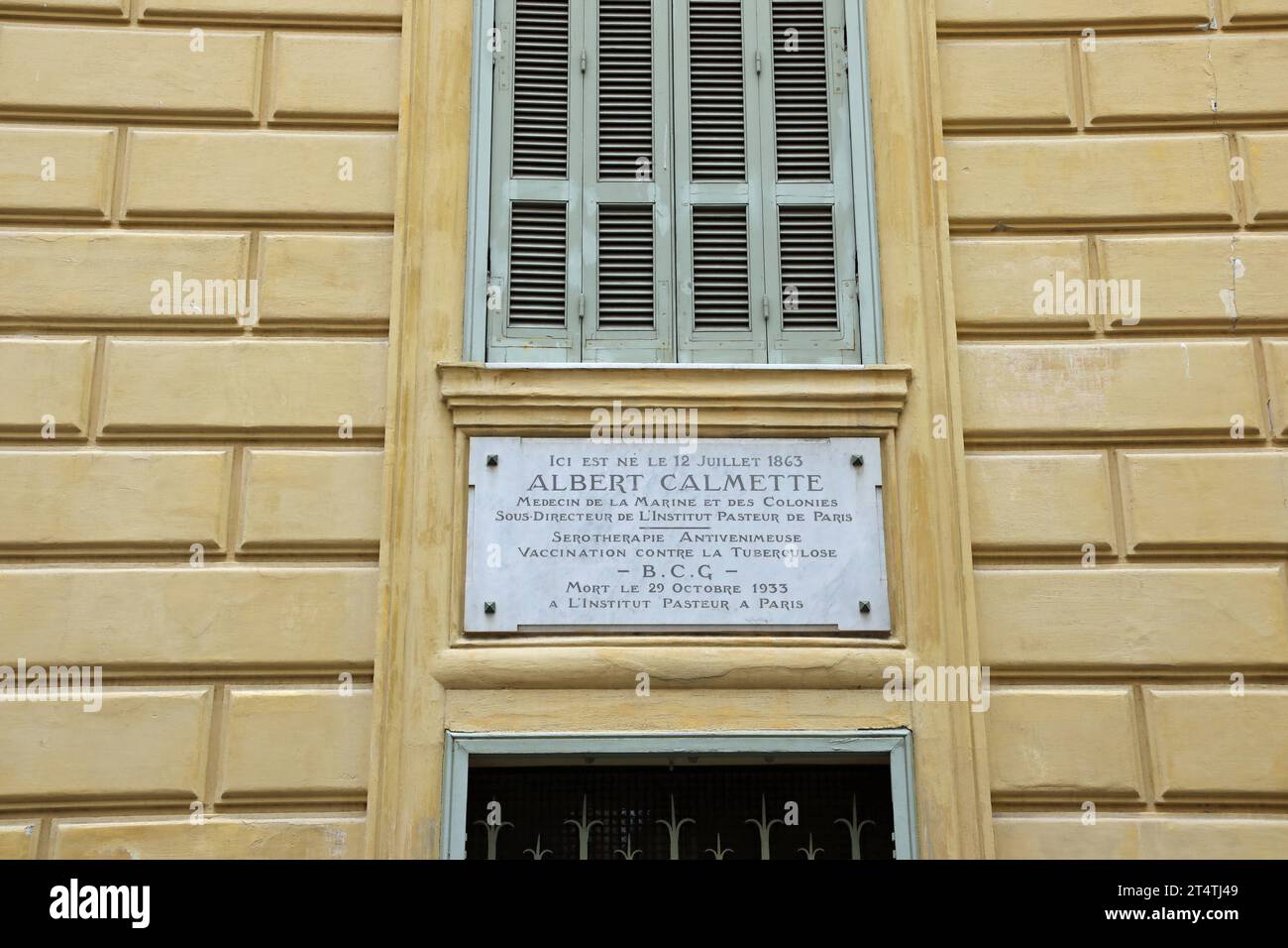 Albert Calmette commemorative plaque in Nice Stock Photo - Alamy