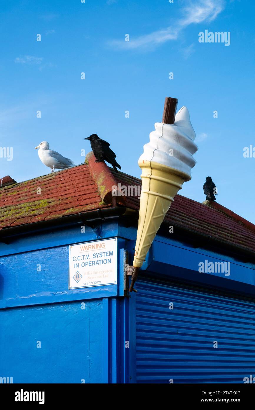 birds crows seagull sat on top of closed seasonal seafront ice cream ...