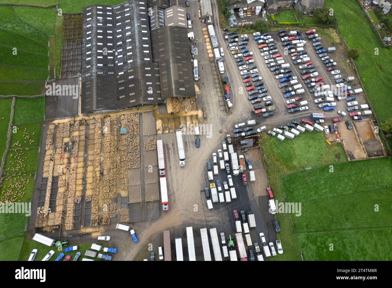 Aerial view of the North of England mule gimmer lamb sale at Hawes ...
