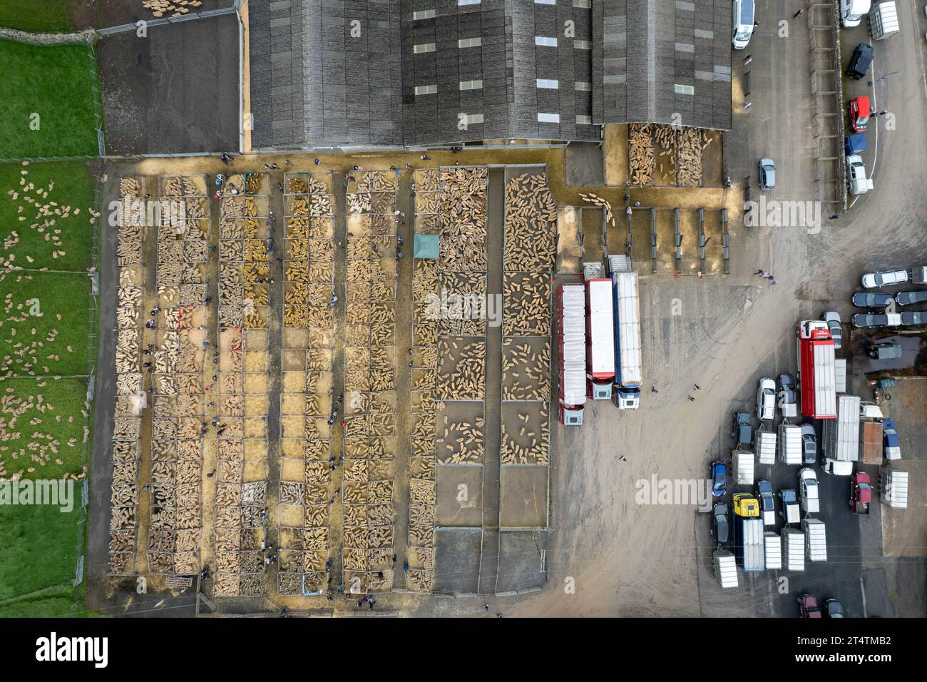 Hawes livestock auction market wensleydale hi-res stock photography and ...