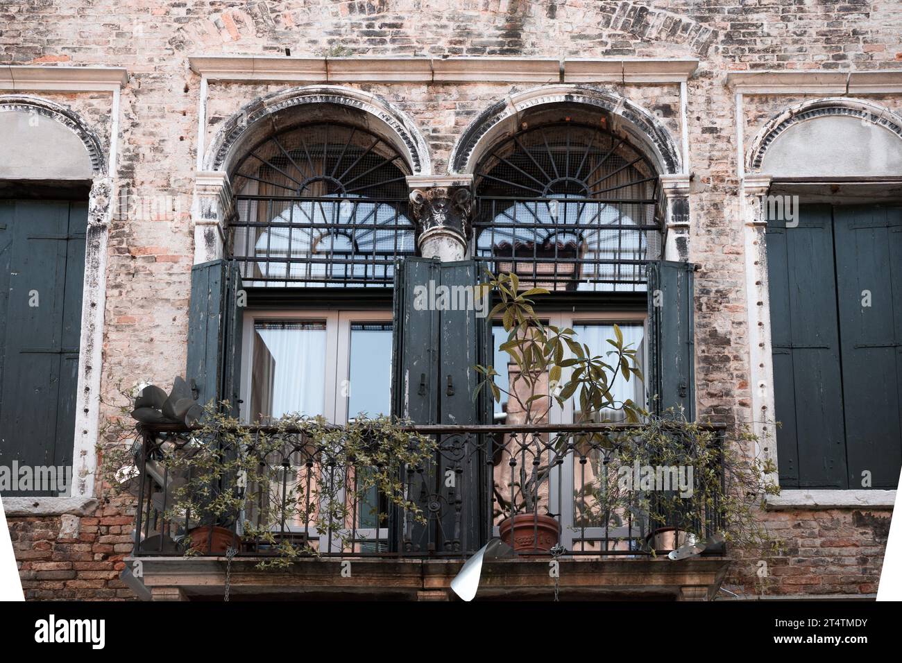 Vintage arched windows with potted plants. Weathered brick wall ...