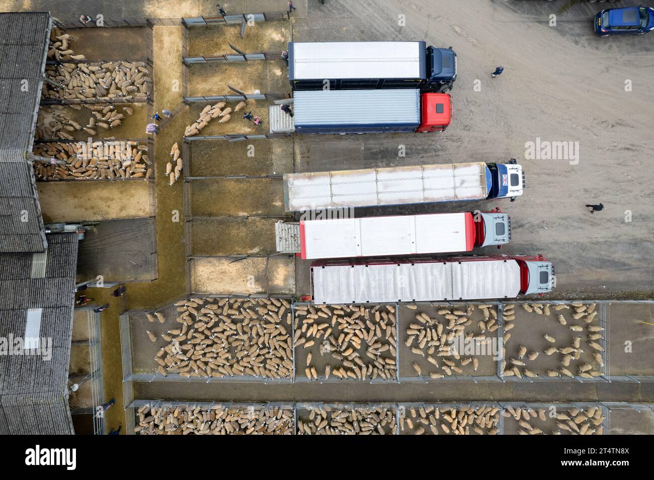Aerial view of the North of England mule gimmer lamb sale at Hawes ...