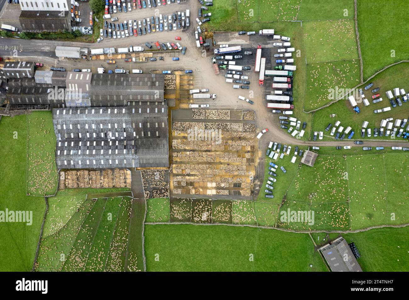 Hawes livestock auction market wensleydale hi-res stock photography and ...