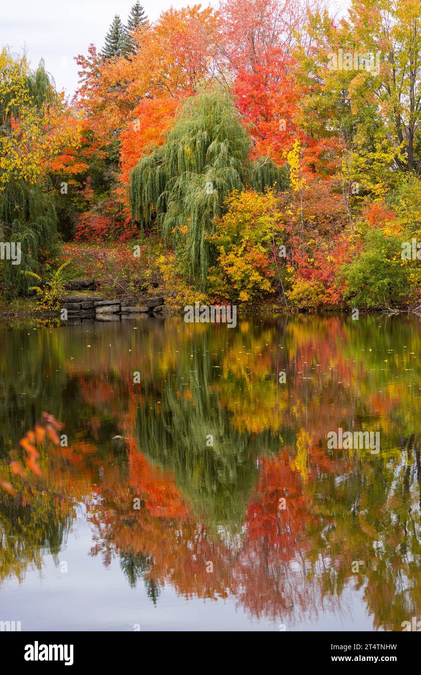Canada oka national park autumn hi-res stock photography and images - Alamy