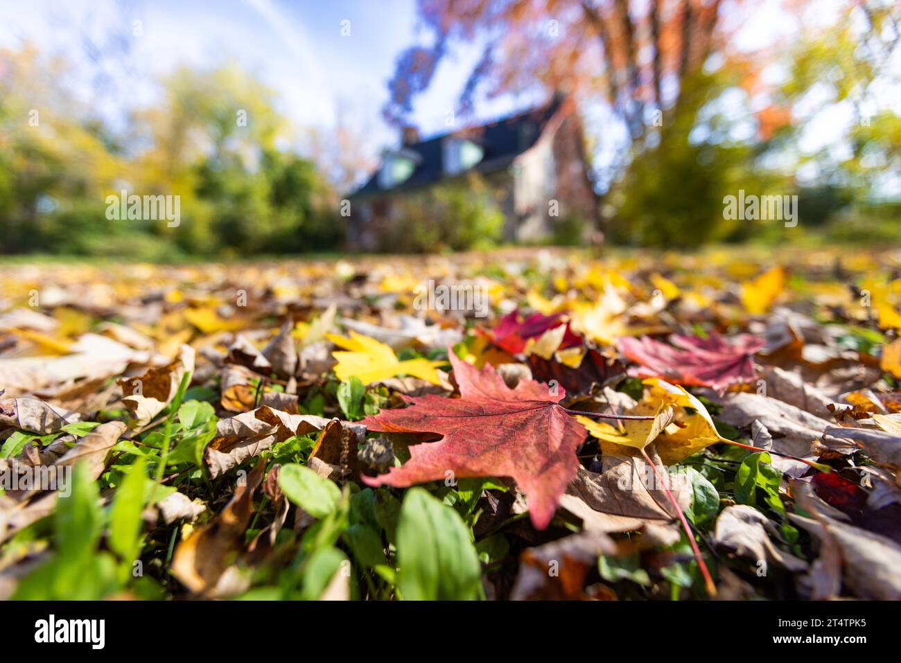 Traditional canadian house in autumn hi-res stock photography and ...