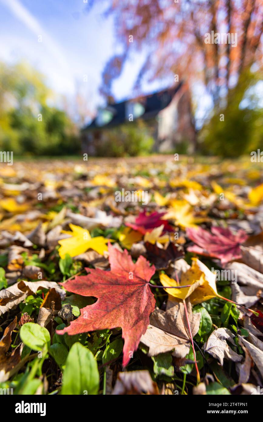 Traditional Canadian house in autumn Stock Photo - Alamy