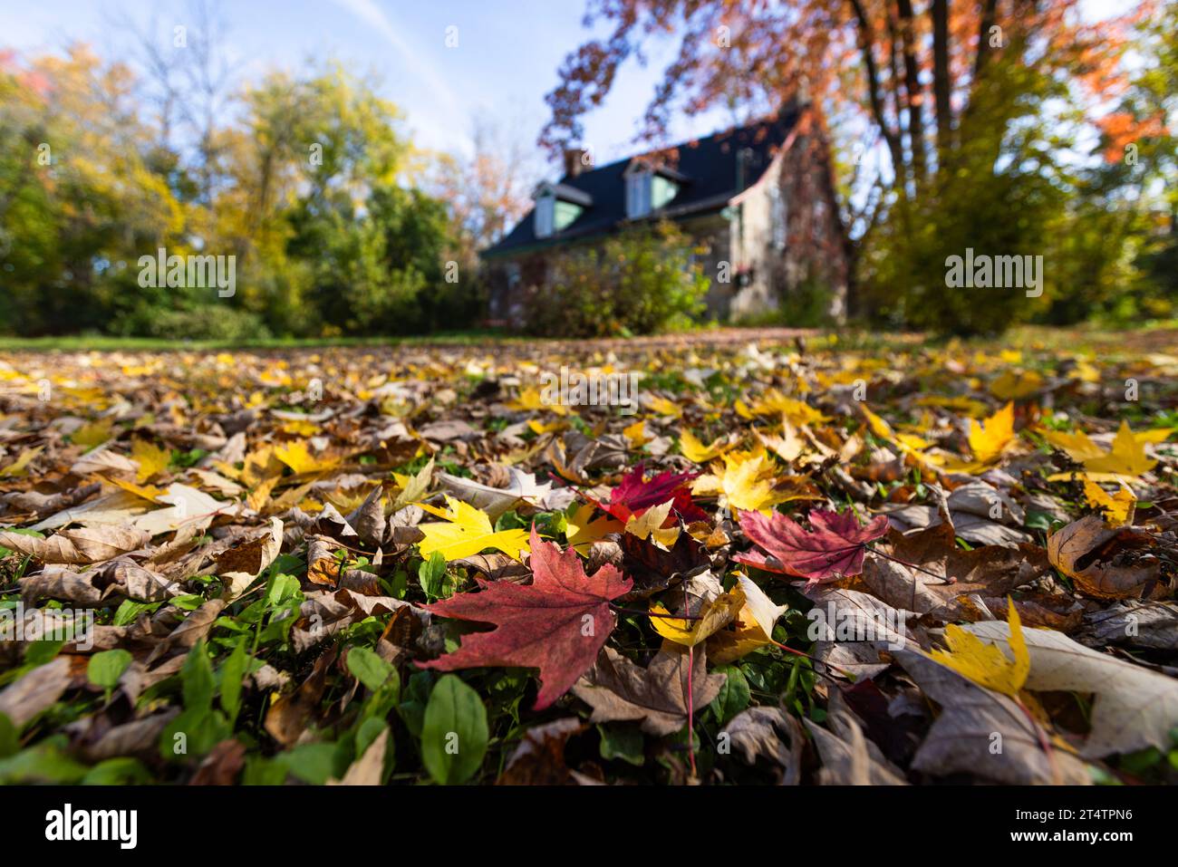 Traditional Canadian house in autumn Stock Photo - Alamy