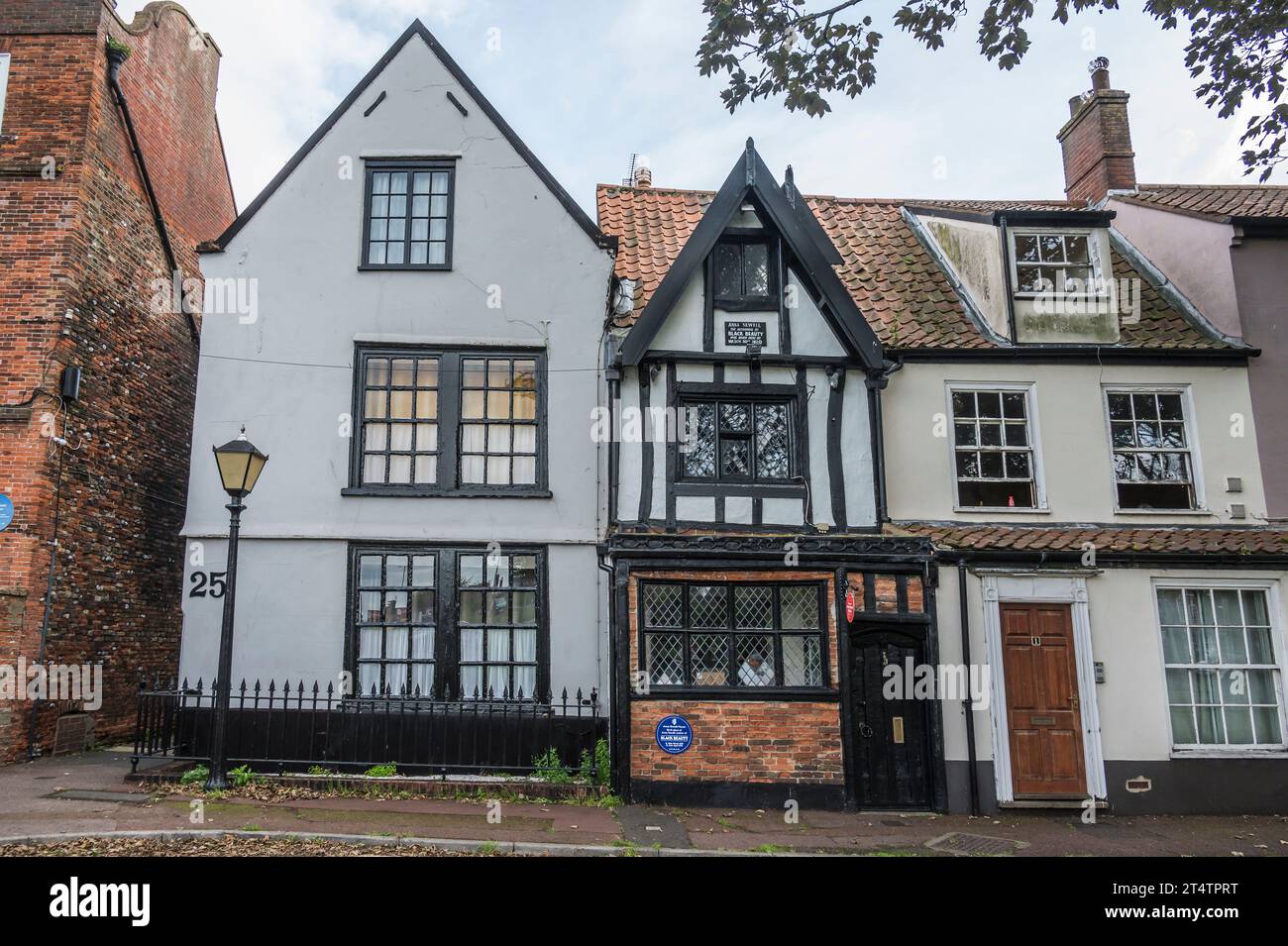 The image is of the house that was home and birthplace of Anna Sewell ...