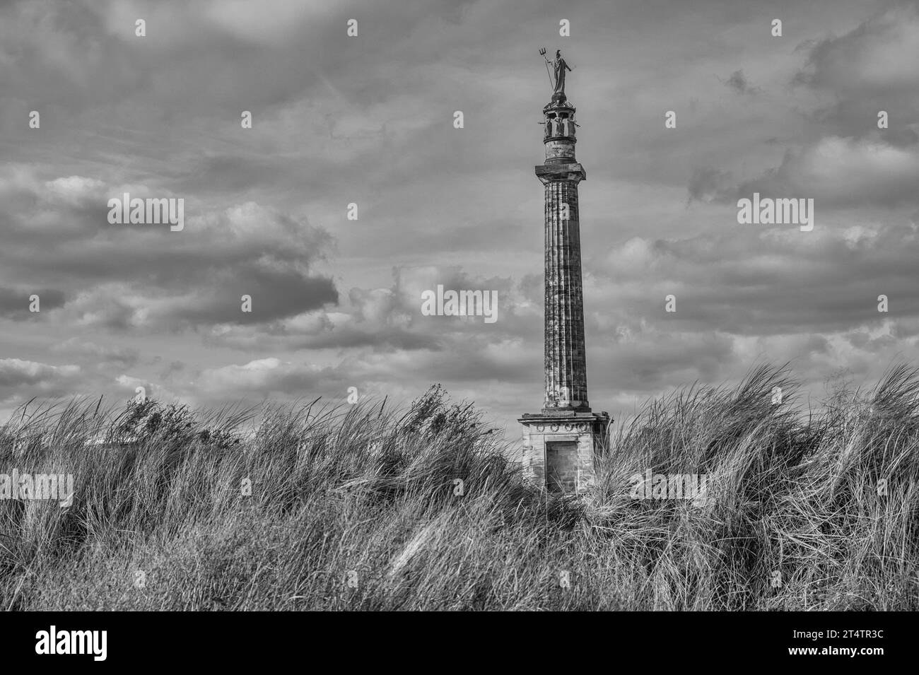 The image is of the 41metre tall Admiral Lord Nelson Britannia Monument ...
