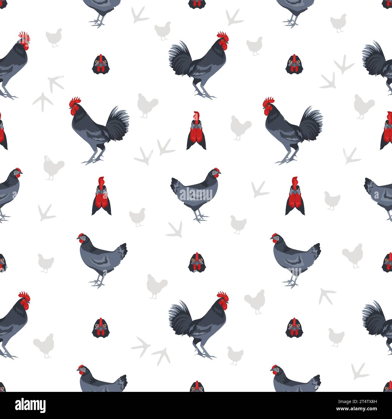 Delaware Blue Hen Chicken breeds seamless pattern. Poultry and farm ...