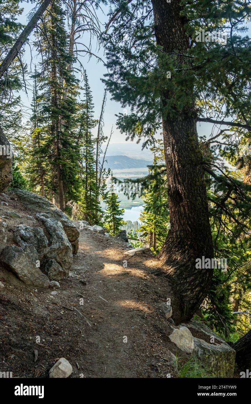 Trail Bends Around Corner Between Cliff and Trees in Grand Teton ...