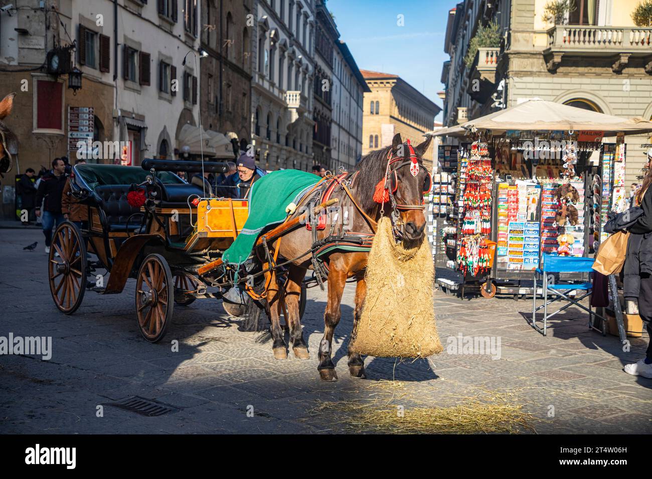 Roman horse carriage hi-res stock photography and images - Alamy