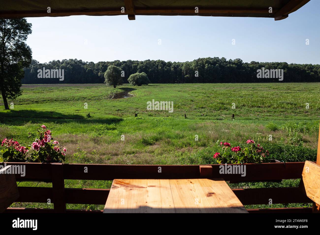 Picture of the panorama of Obedska Bara in Serbia, in Kupinovo. Obedska ...