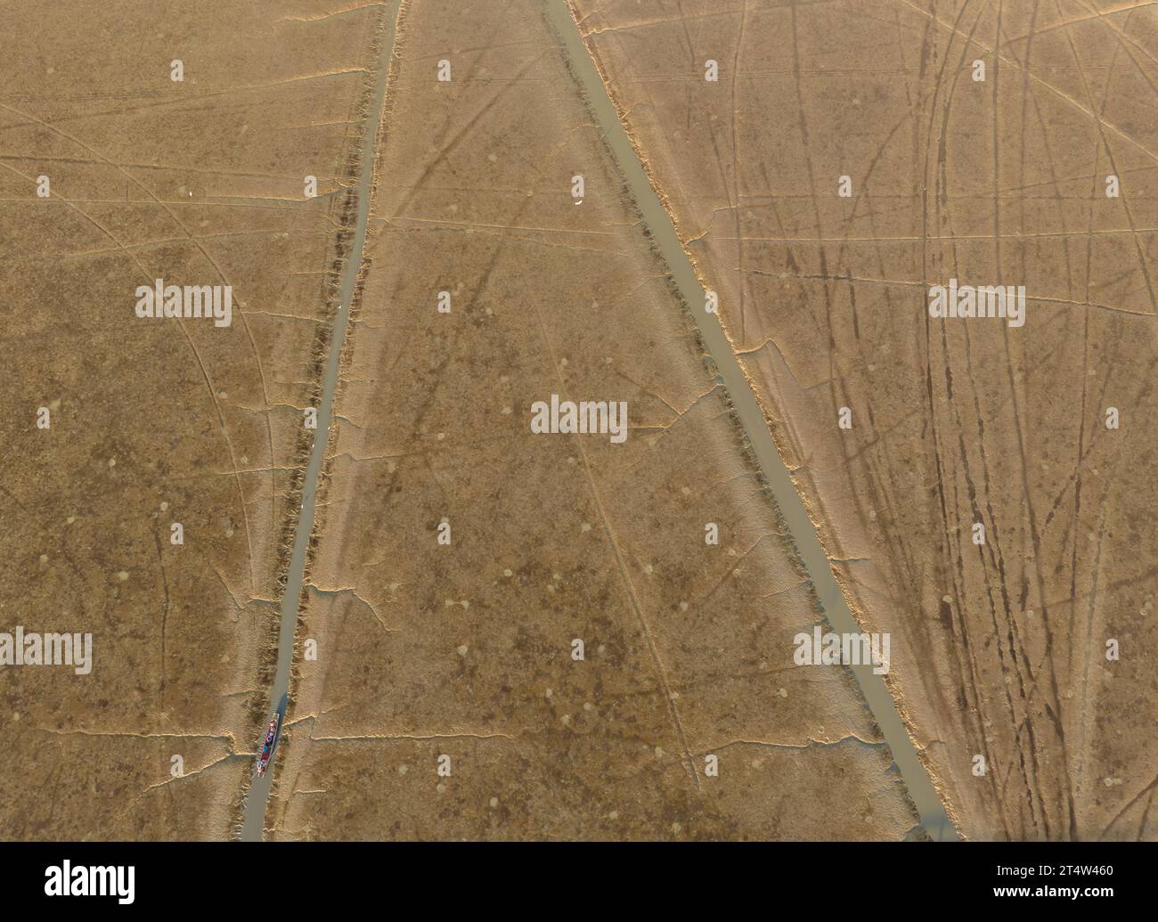 Aerial drone view of coastal mudflat. Natural blue carbon sink and ...