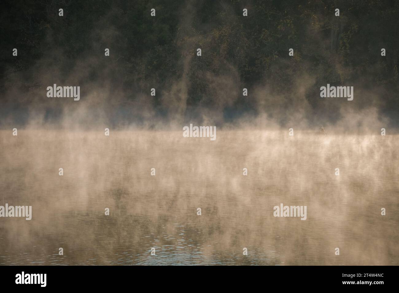 Dense mist rising off the surface of the Catawba River in South ...