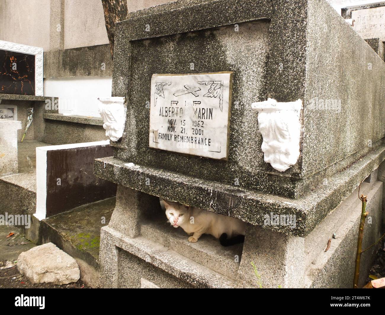 Caloocan, Philippines. 01st Nov, 2023. A stray cat takes a peek under ...